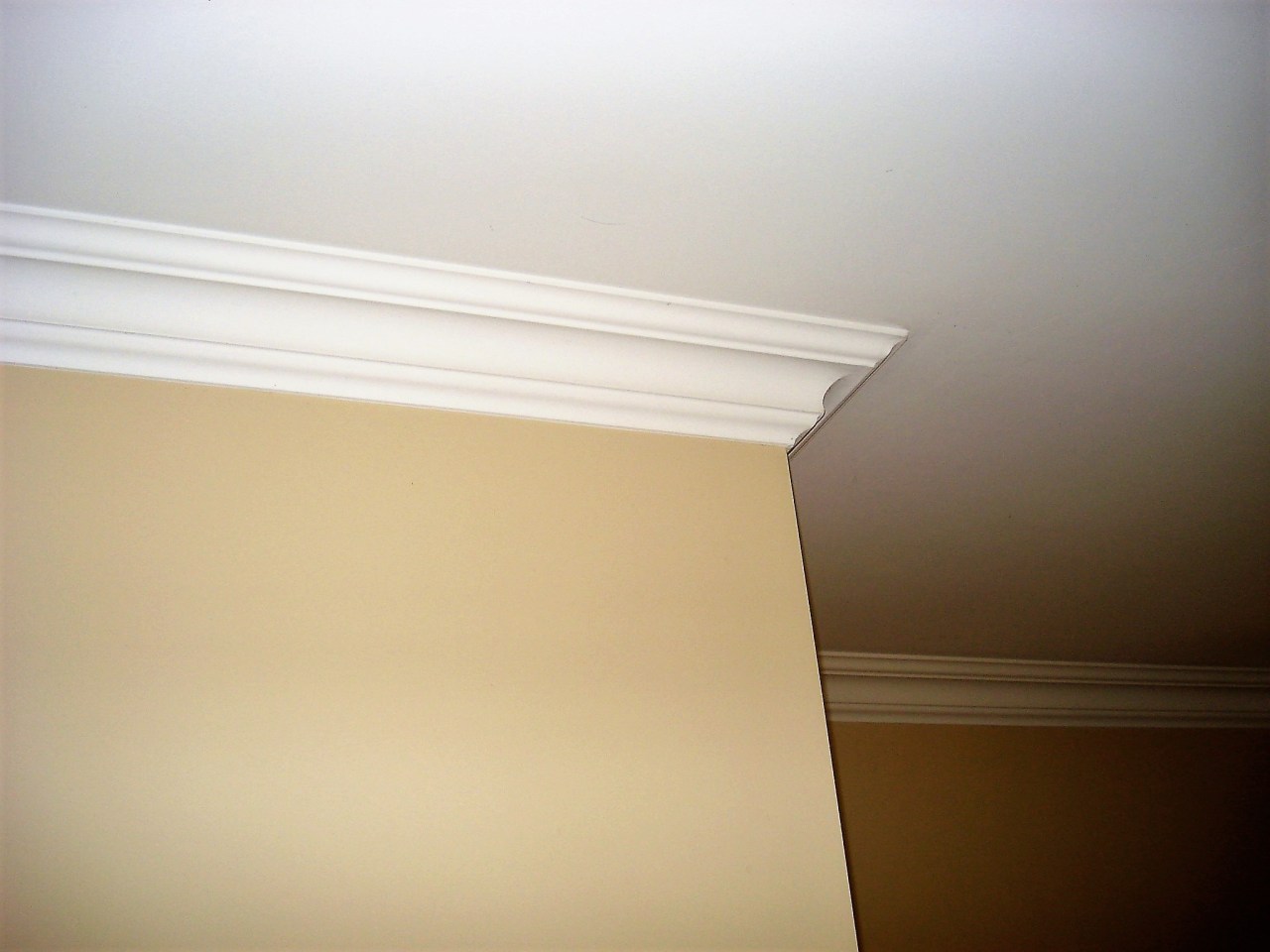 Quel revêtement pour un plafond ? – Le Blog du Bricoleur